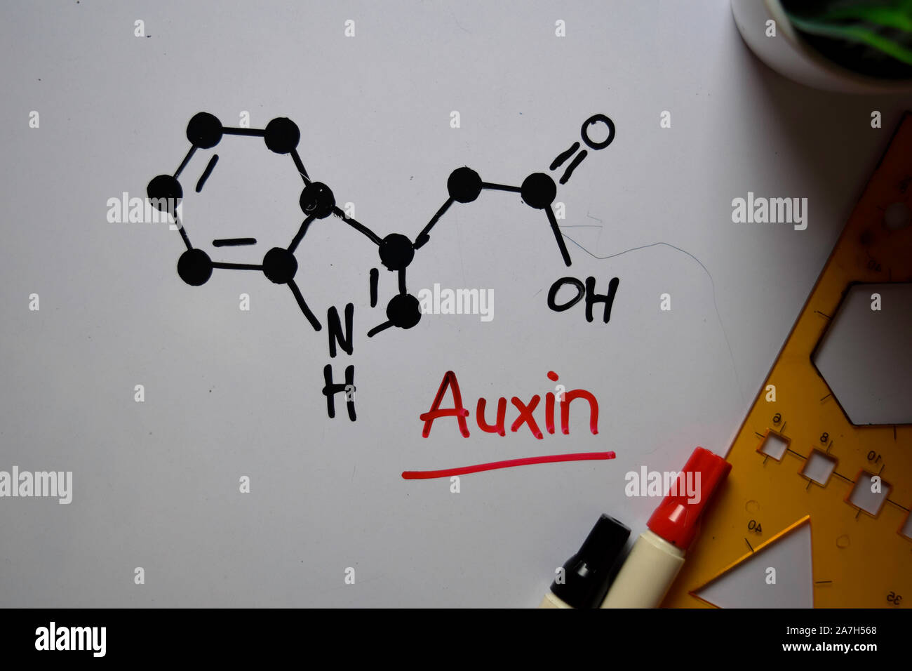 Molécule d'auxine écrire sur le tableau. Formule chimique structurels ...