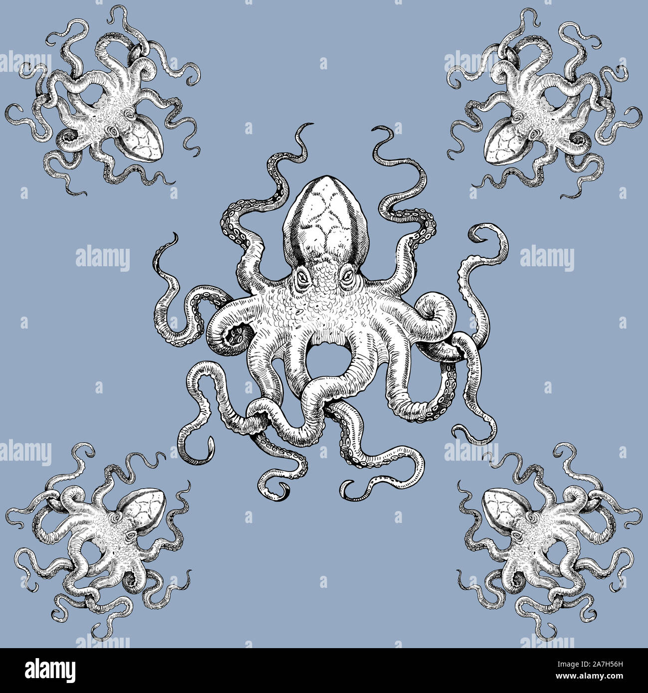 Poulpe mystique dessin. Illustration de mollusques gigantesque. Dessin ...