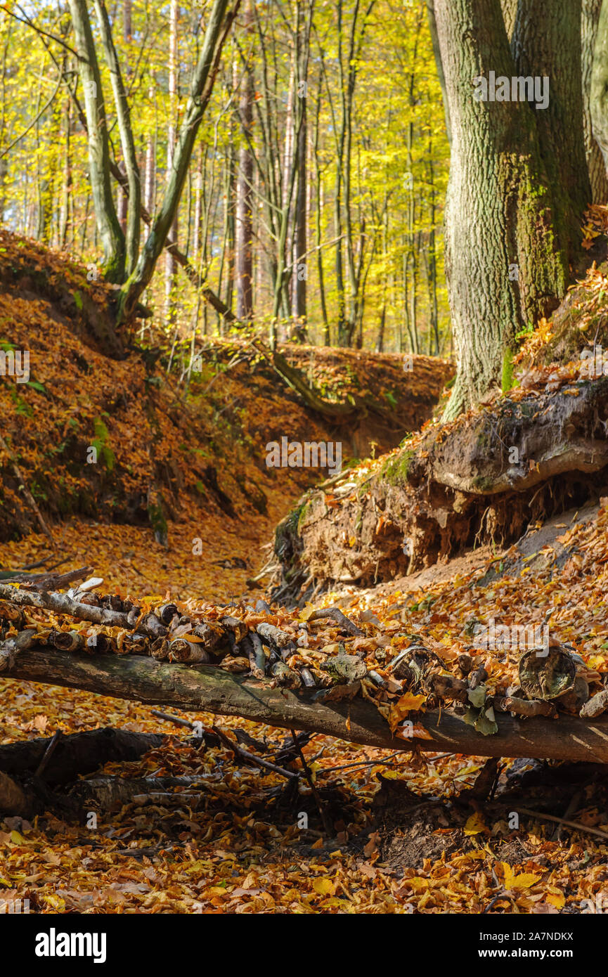 Paysage de ravin Banque de photographies et d’images à haute résolution ...