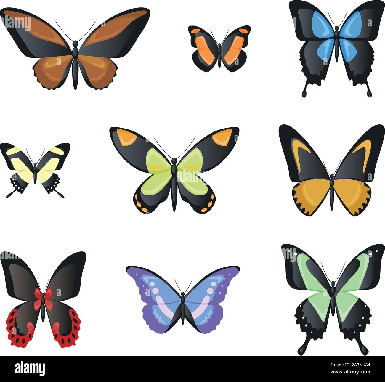 Antenne insecte volant Banque d'images vectorielles - Alamy