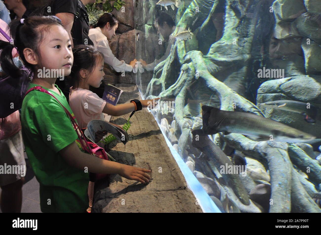 Les résidents locaux et les touristes visiter le plus haut-altitude ...