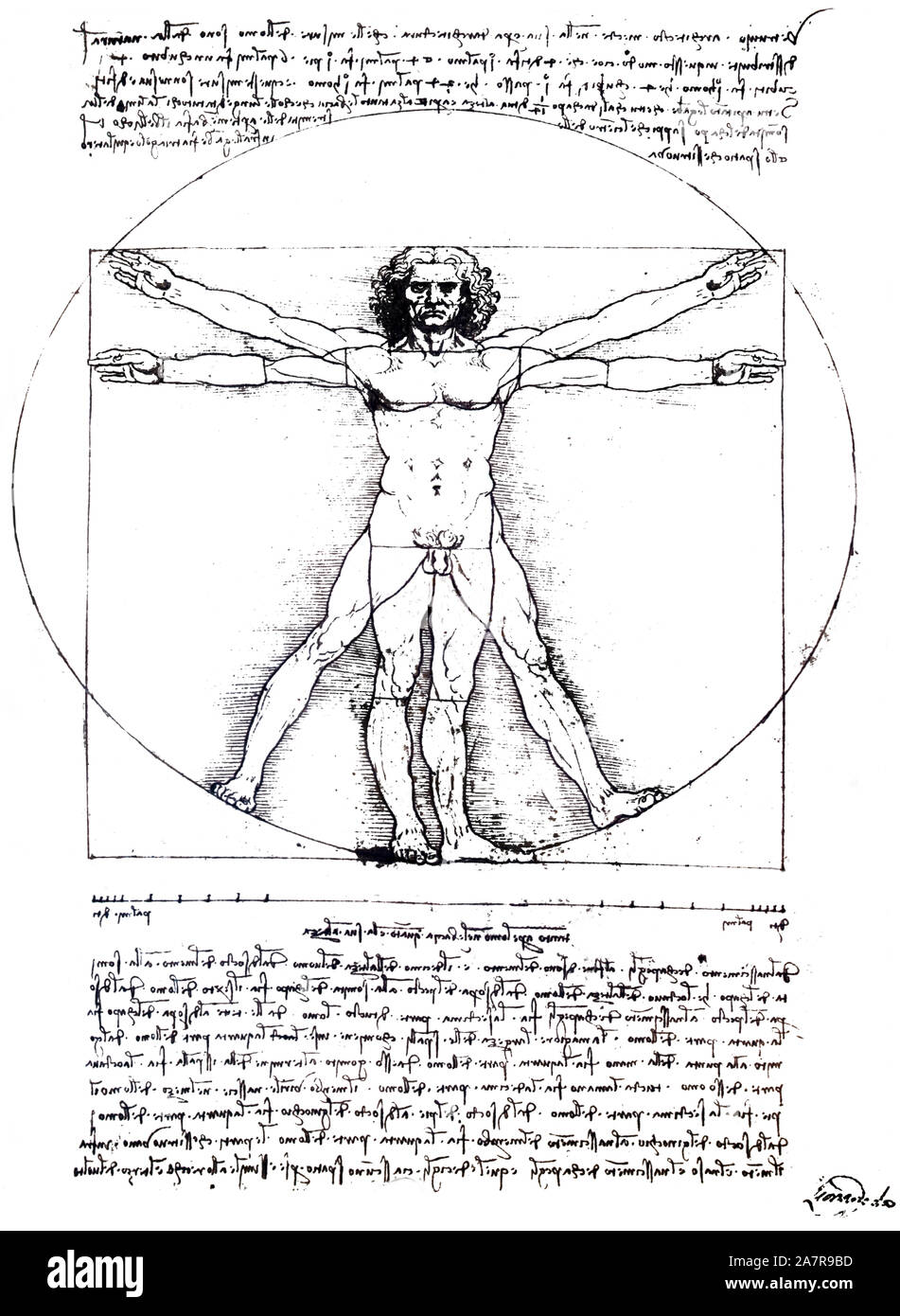 Vitruvian Man Leonardo Da Vinci Banque d'images détourées - Alamy