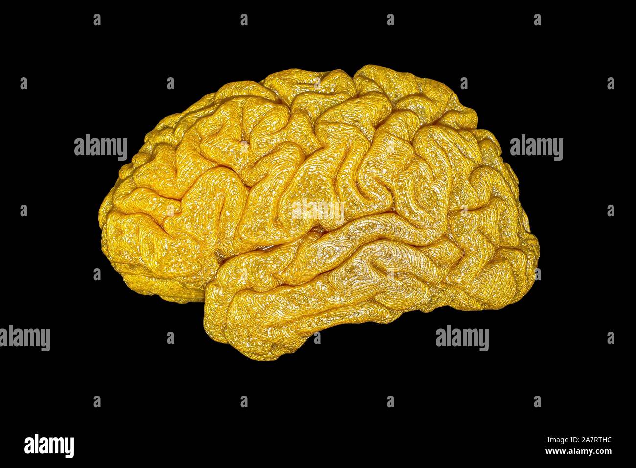 Reconstruction D'organes Banque d'image et photos - Alamy