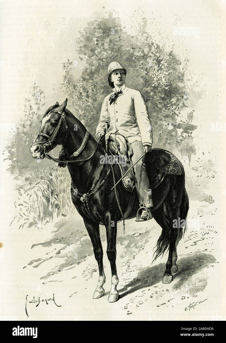 Cheval bayard Banque de photographies et d’images à haute résolution ...