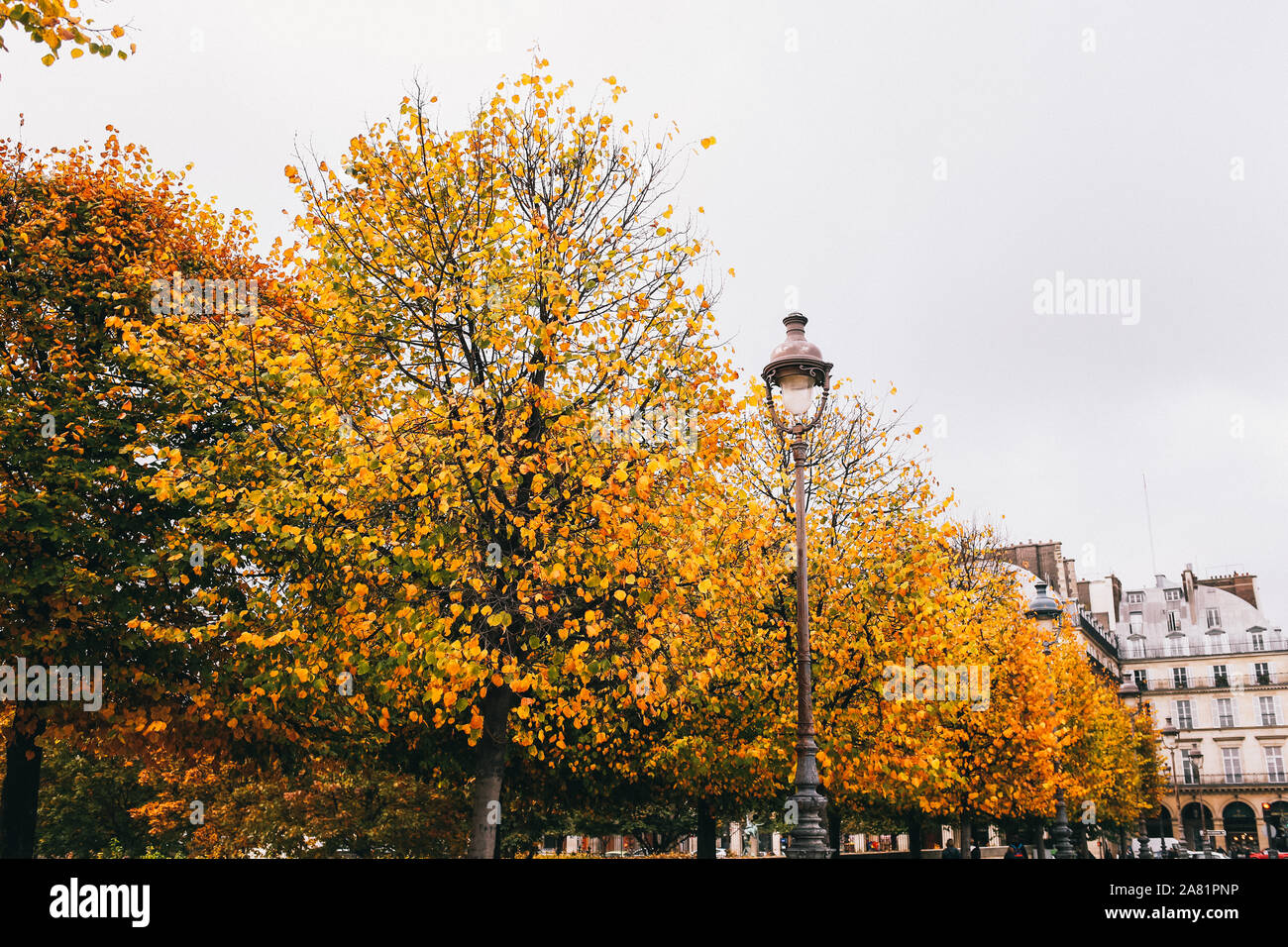 Paris en automne Banque de photographies et d’images à haute résolution ...