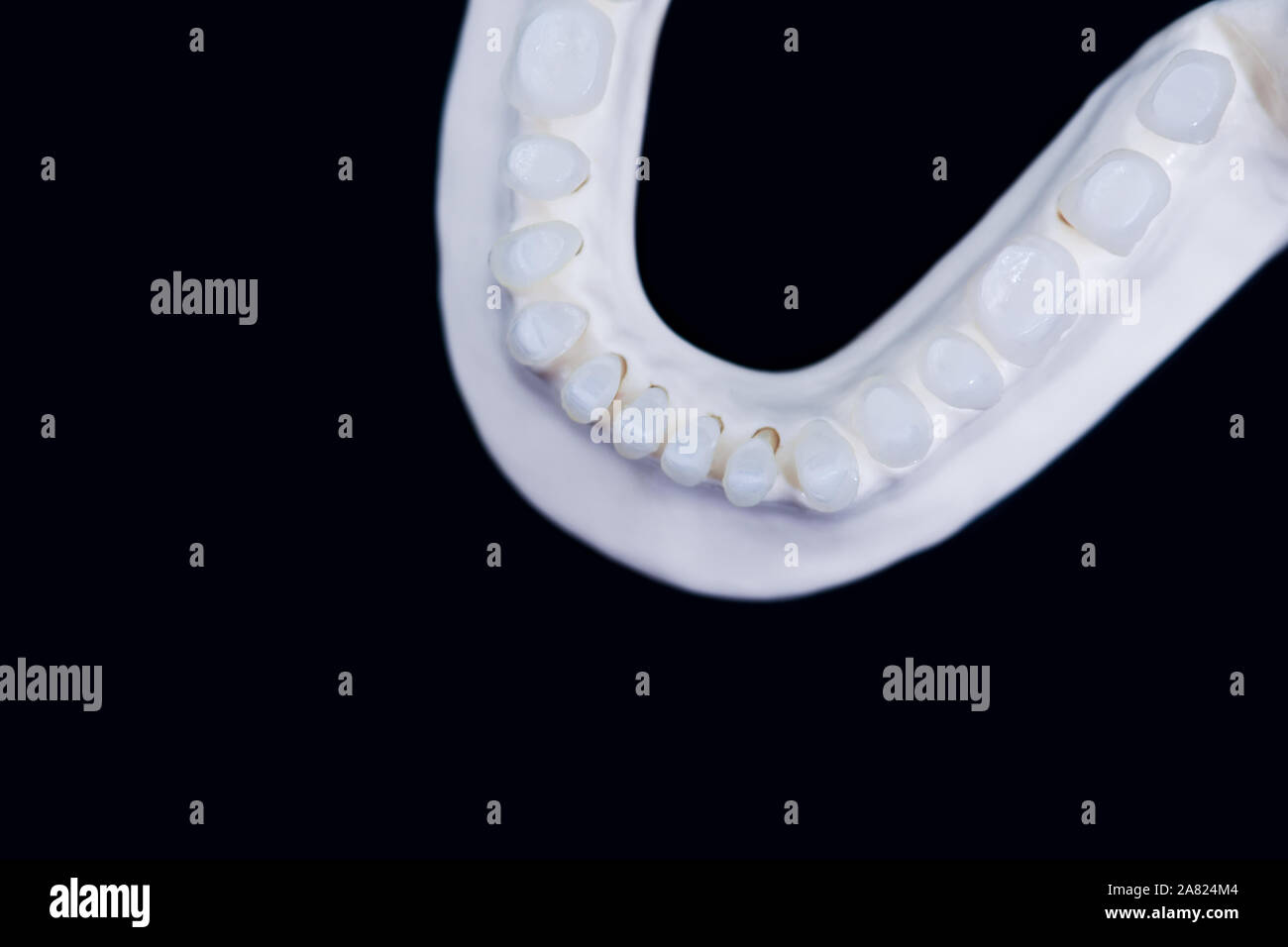 La mâchoire inférieure de l'anatomie des dents avec illustration ...