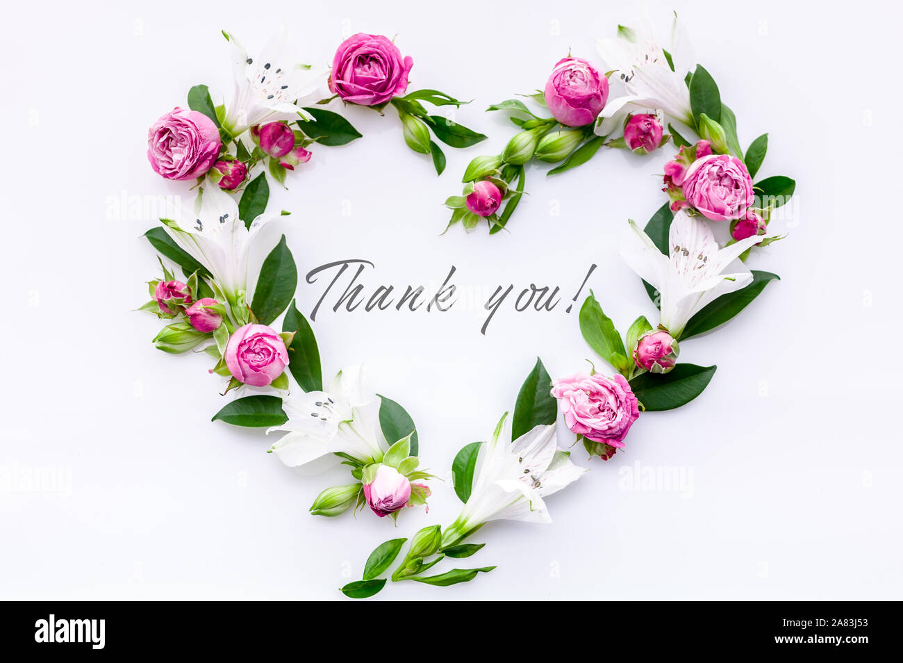 Carte de remerciement avec des roses roses Banque de photographies et d ...