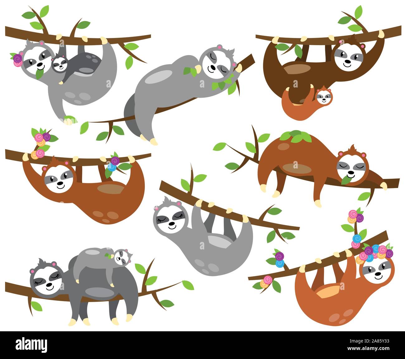 Visage de paresseux Banque d'images vectorielles - Alamy