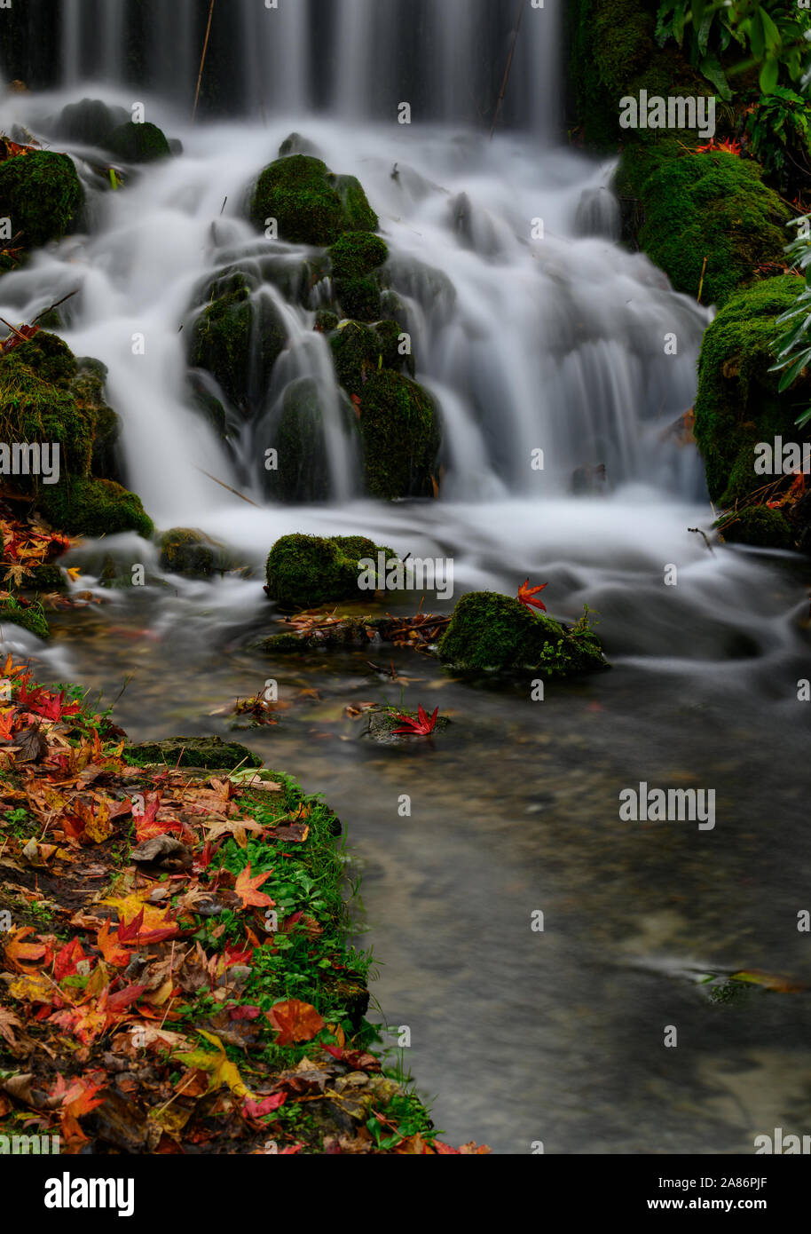 Little bredy Banque de photographies et d’images à haute résolution - Alamy