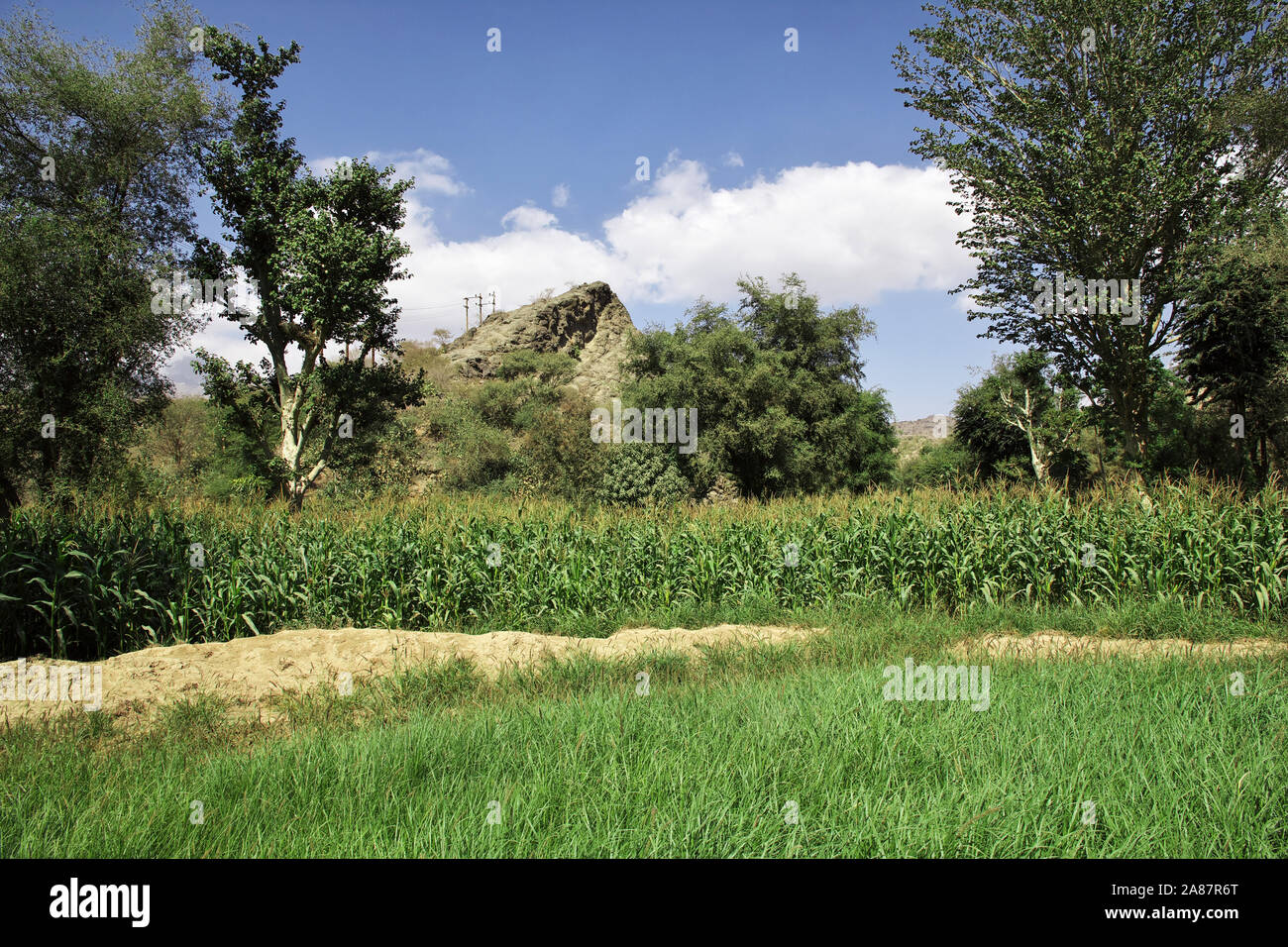 Wadi sara Banque de photographies et d’images à haute résolution - Alamy