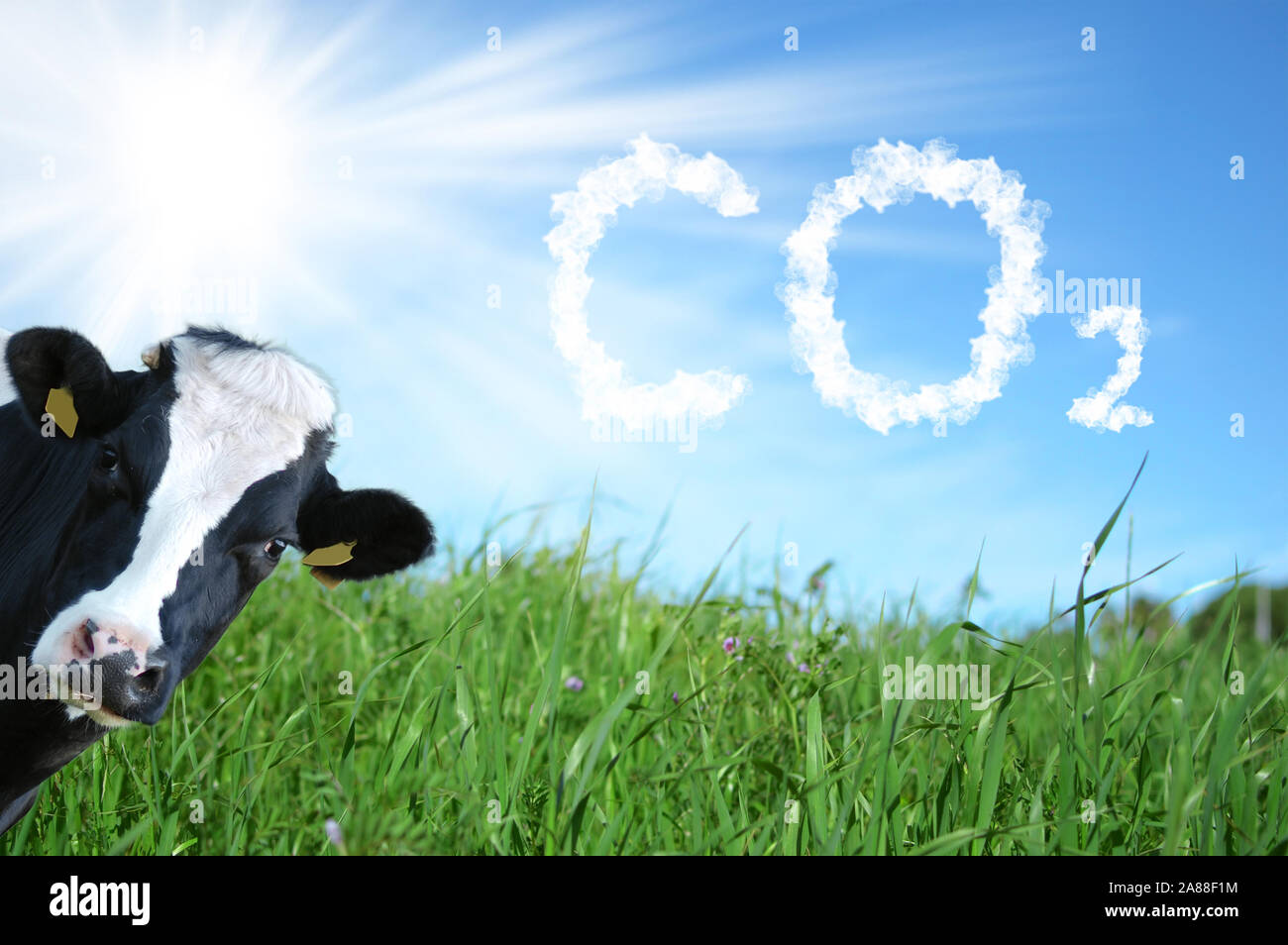 Ciclo del nitrógeno Banque de photographies et d’images à haute ...