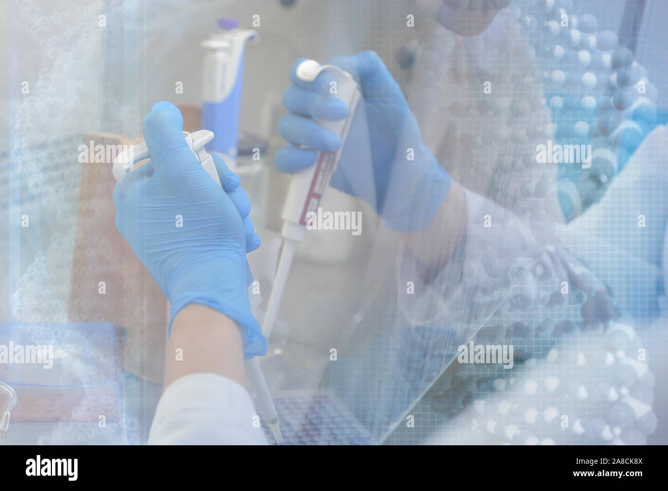 Deux jeunes scientifiques de laboratoire travaillant au laboratoire ...