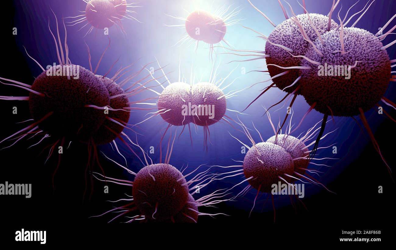 Neisseria gonorrhea Banque de photographies et d’images à haute ...