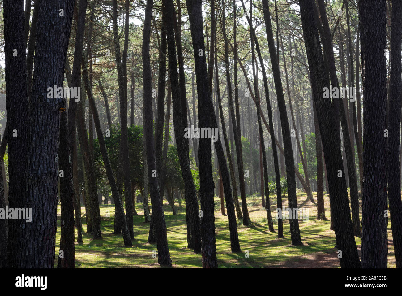 Camping paisible Banque de photographies et d’images à haute résolution - Alamy