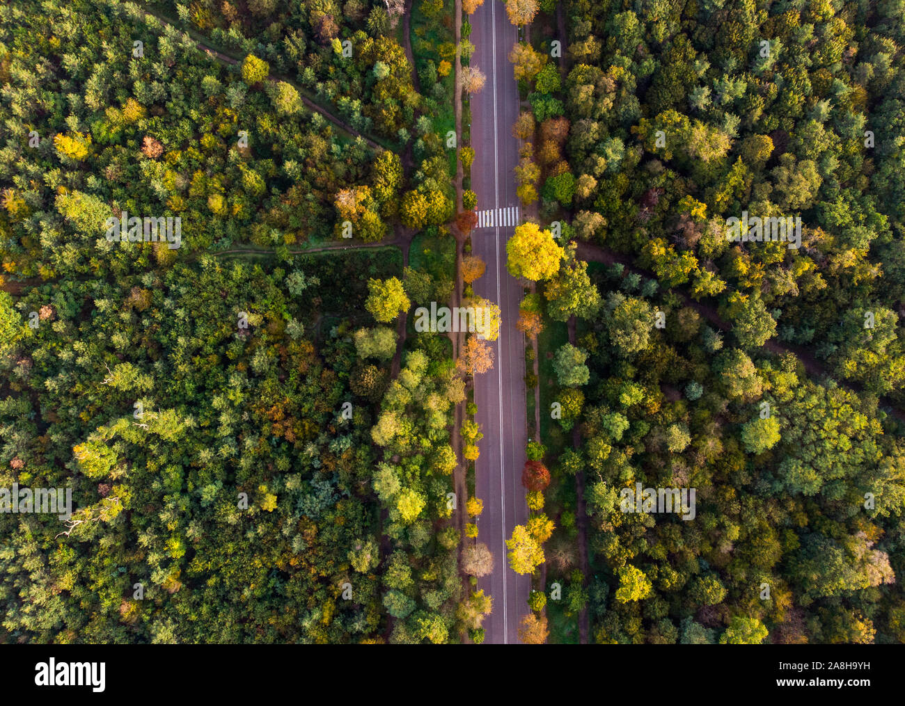 Par ANTENNE, DE HAUT EN BAS : une route asphaltée traversant la vaste ...