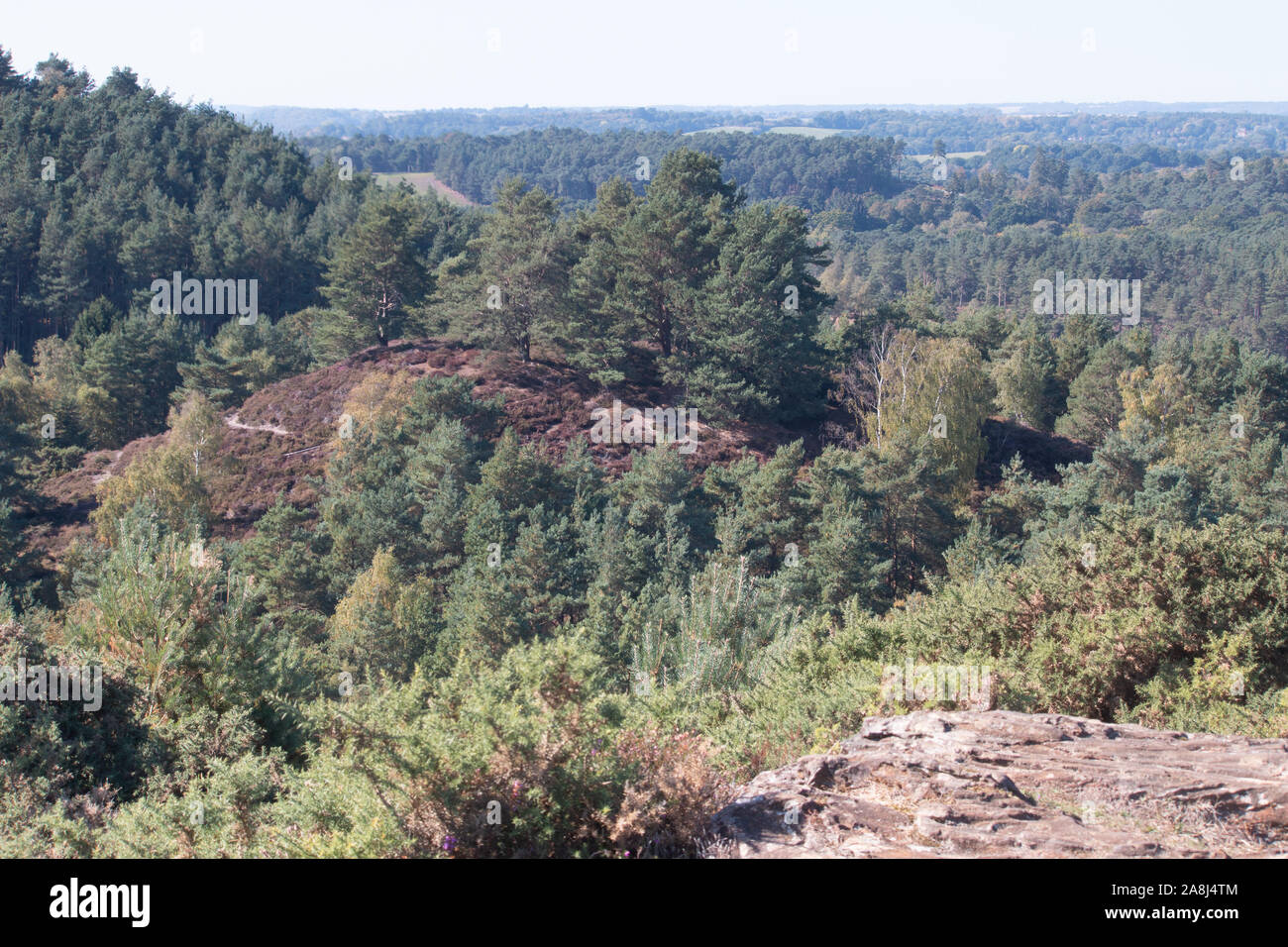 Hankley common Banque de photographies et d’images à haute résolution ...
