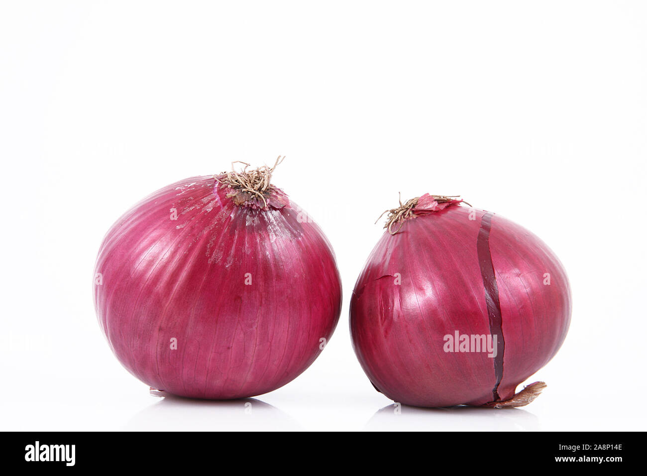 Oignons rouges sur fond blanc Banque de photographies et d’images à ...