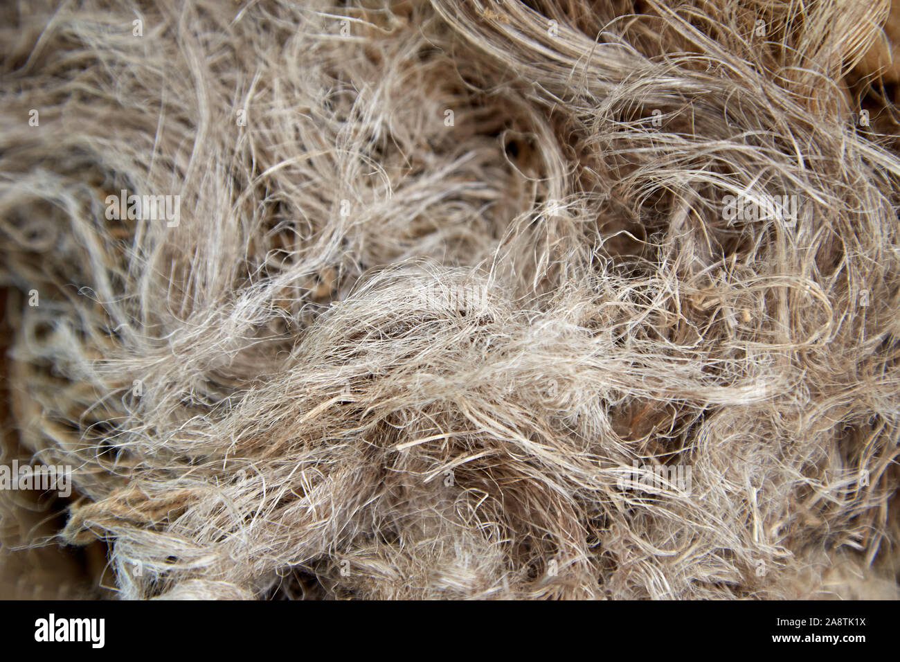 Fibre De Lin Banque d'image et photos - Alamy