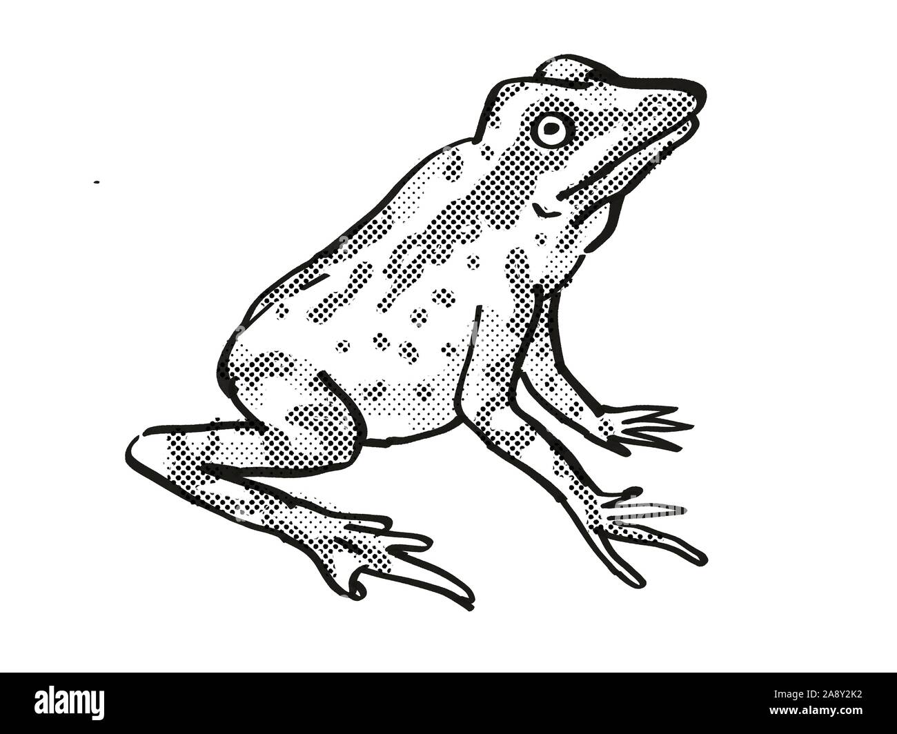 Retro style cartoon dessin dessin d'un crapaud Stubfoot Andersson, une ...