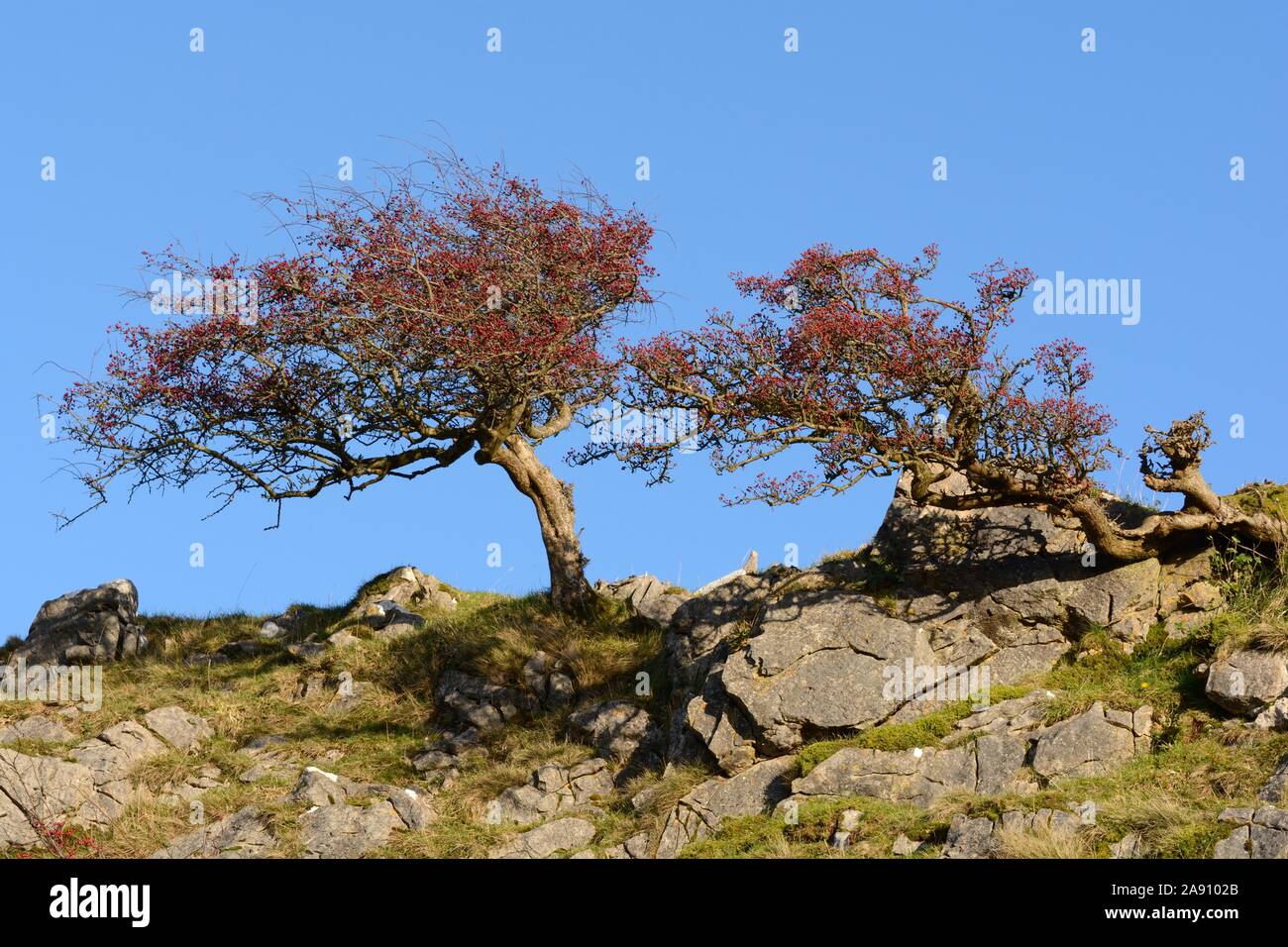 Unesco global geopark Banque de photographies et d’images à haute ...