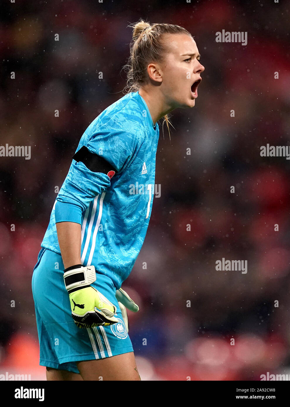 Merle frohms Banque de photographies et d’images à haute résolution - Alamy