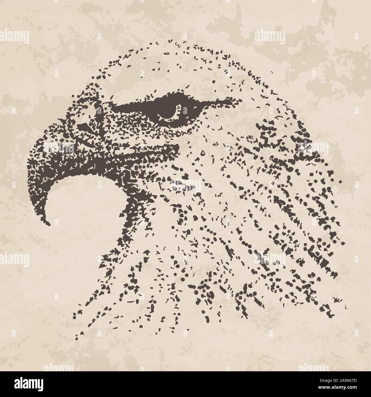 Eagle hawk engraving Banque d'images vectorielles - Alamy