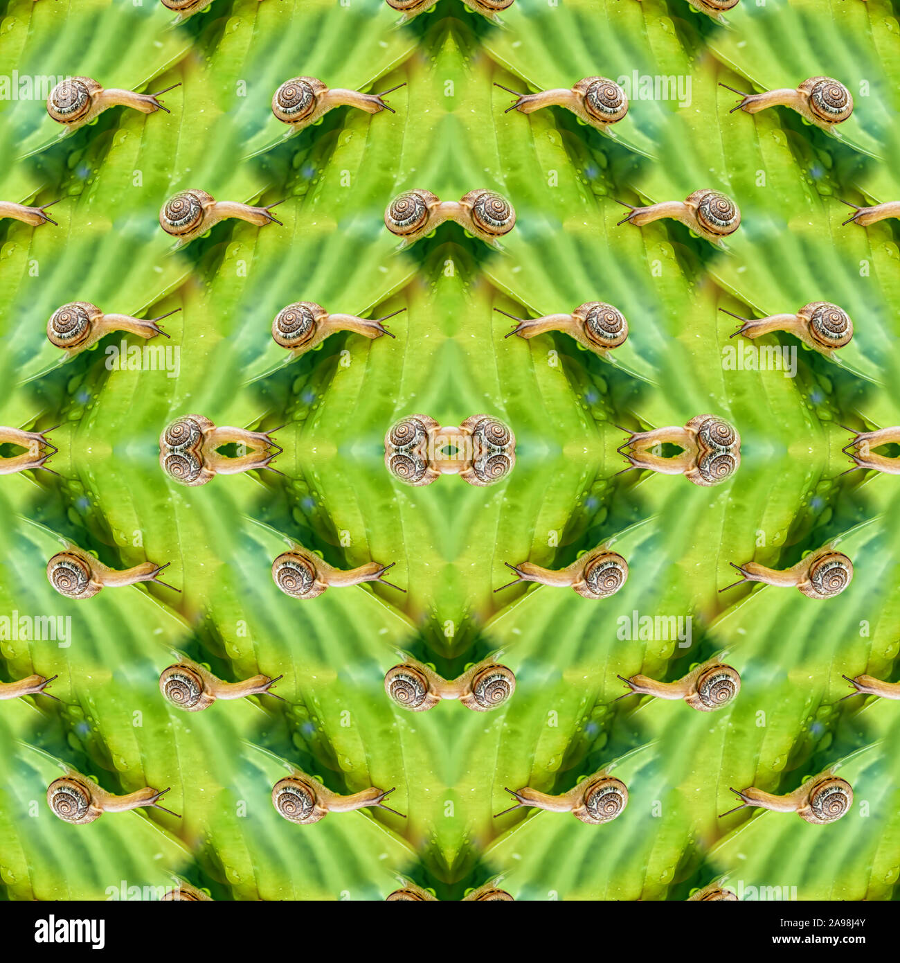 Water Texture Seamless Banque d'image et photos - Alamy