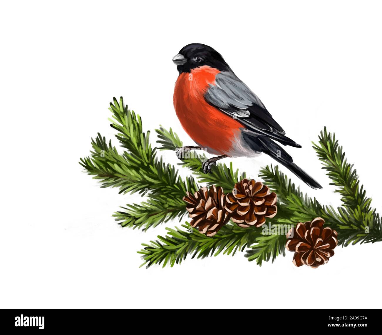 Oiseau de dessin animé Banque d'images détourées - Alamy