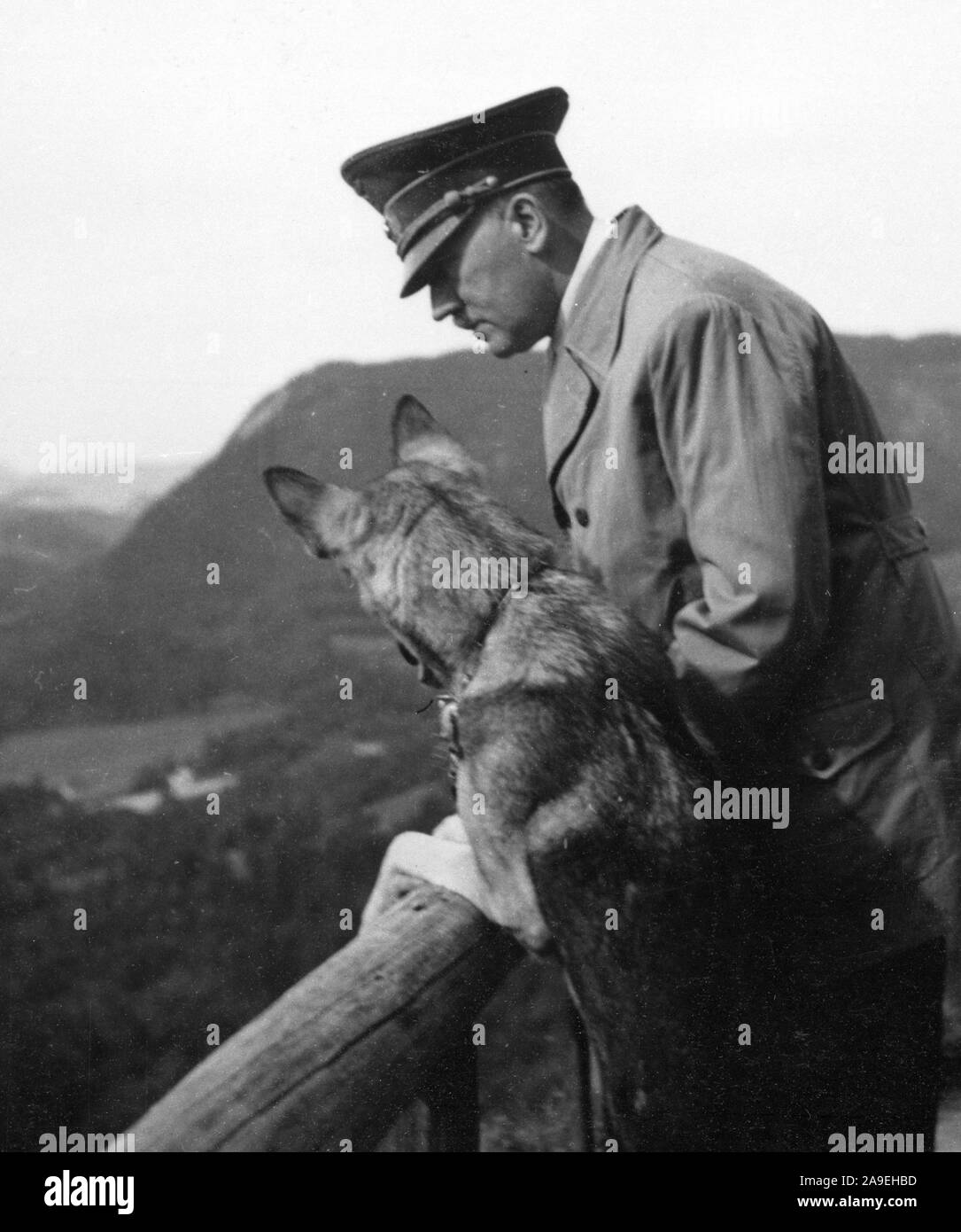 Adolf hitler avec le chien Banque de photographies et d’images à haute ...