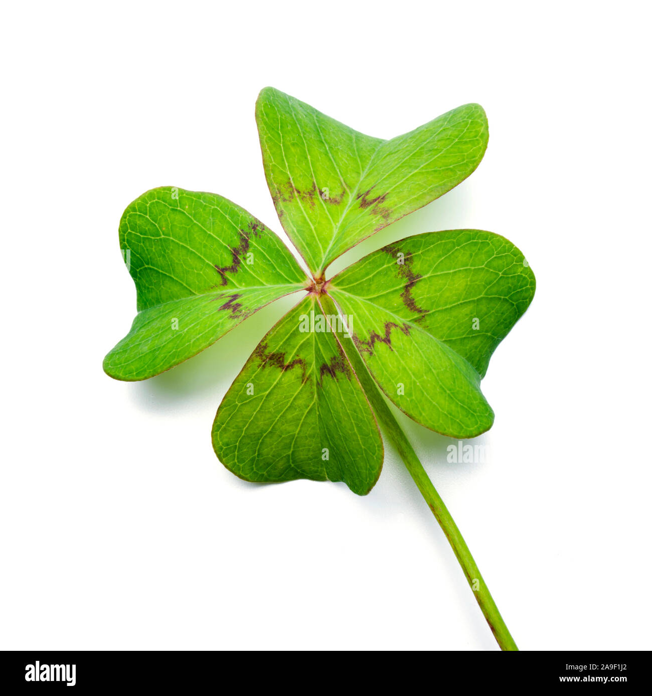 Occasion de chance Banque d'images détourées - Alamy