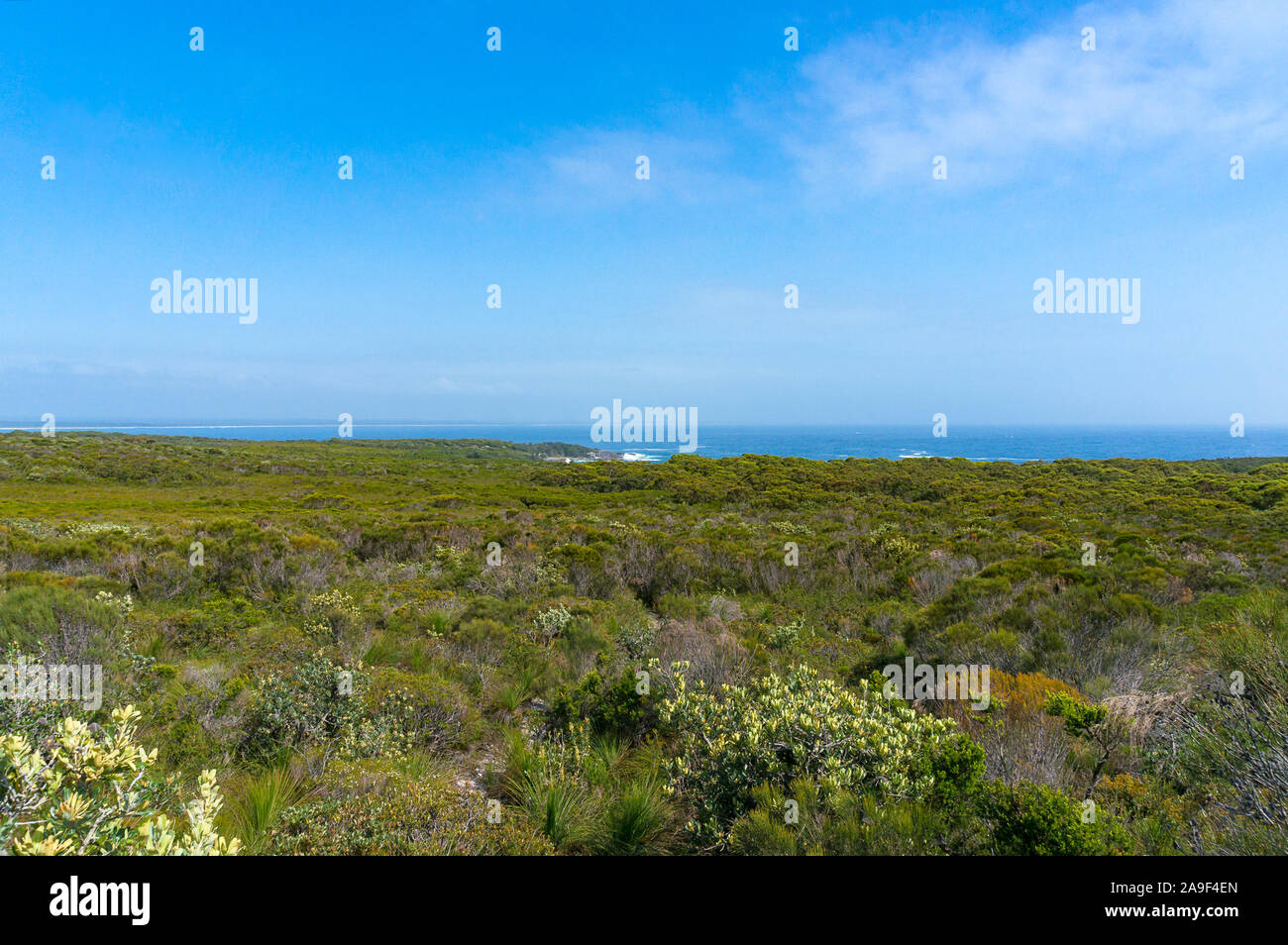 Paysage panoramique de la brousse vert océan et de l'outback à l ...