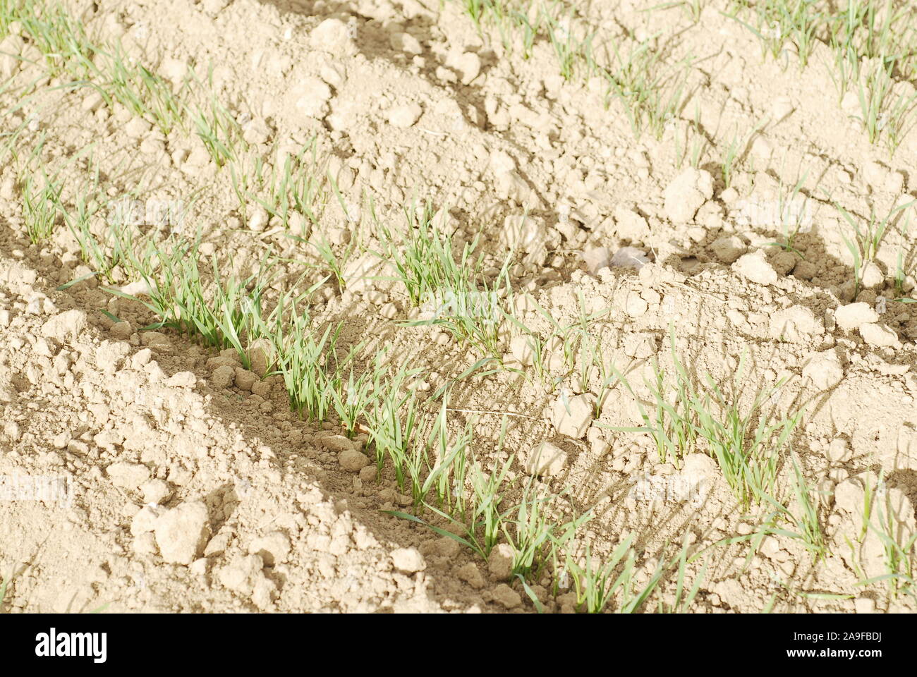 épuisement du sol Banque de photographies et d’images à haute ...