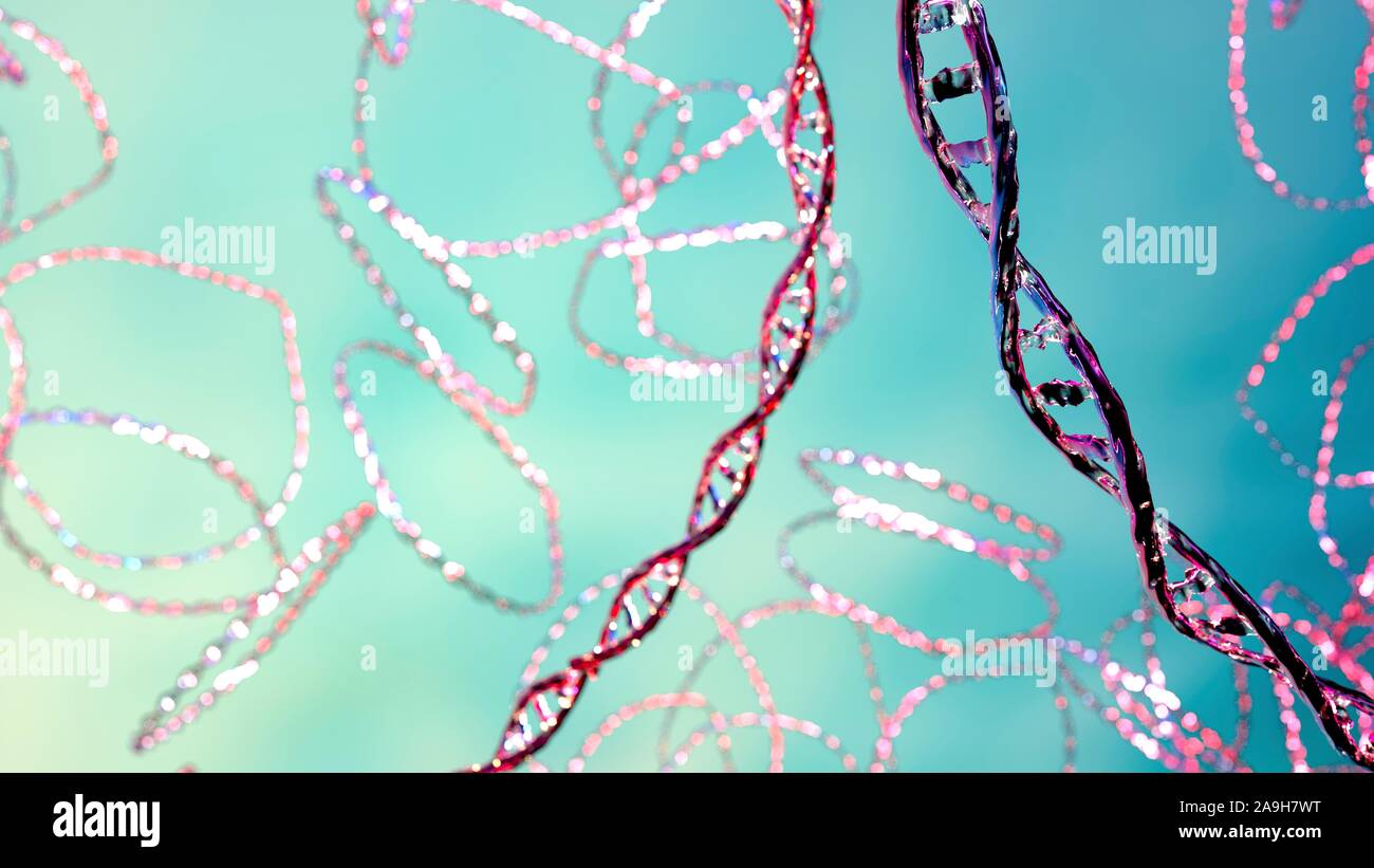 Adn circulaire plasmidique Banque de photographies et d’images à haute ...