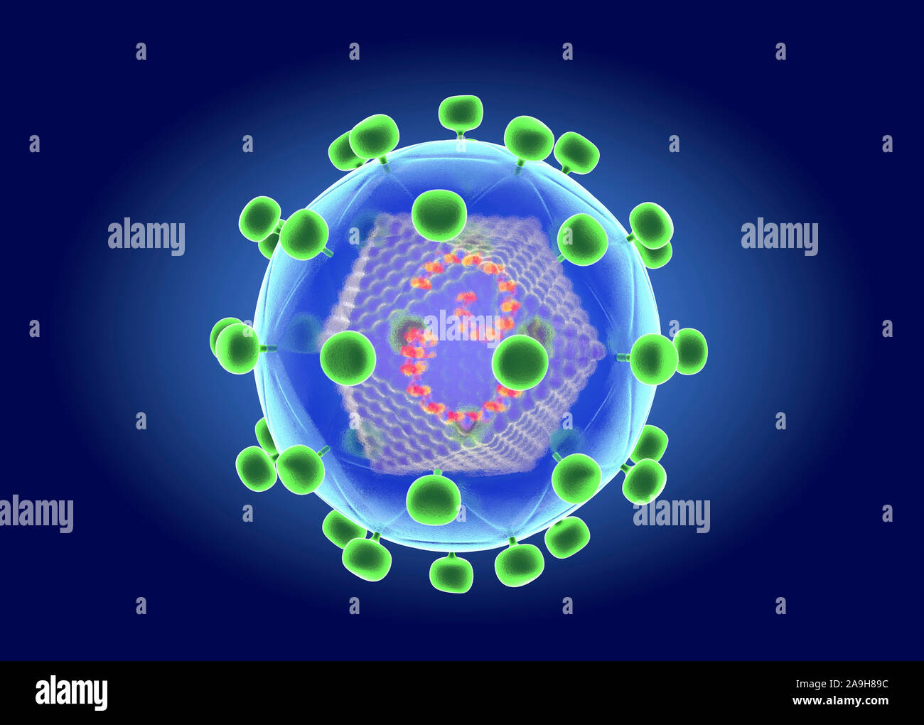 Structure du vih Banque de photographies et d’images à haute résolution ...