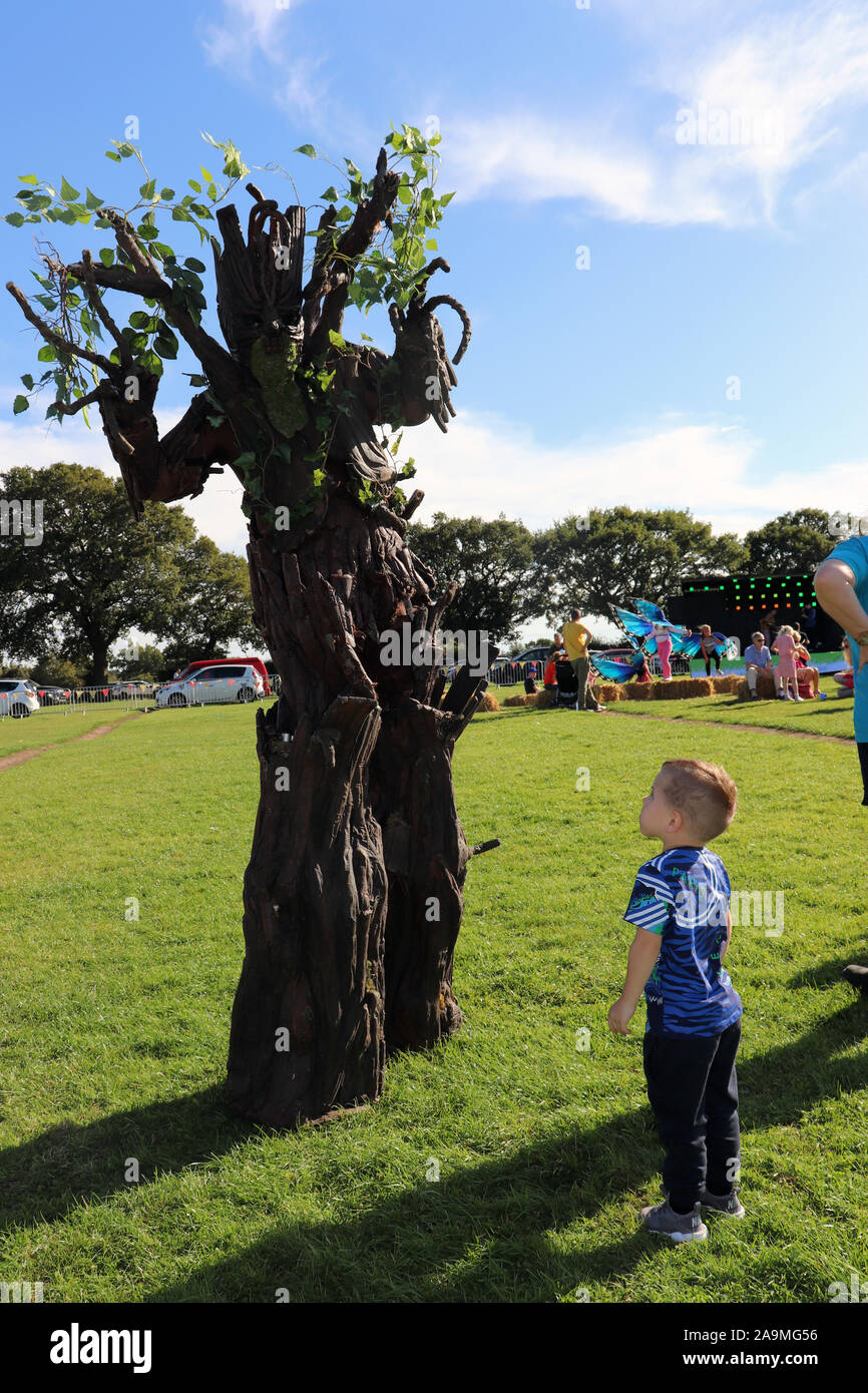 Arbre groot Banque de photographies et d’images à haute résolution - Alamy