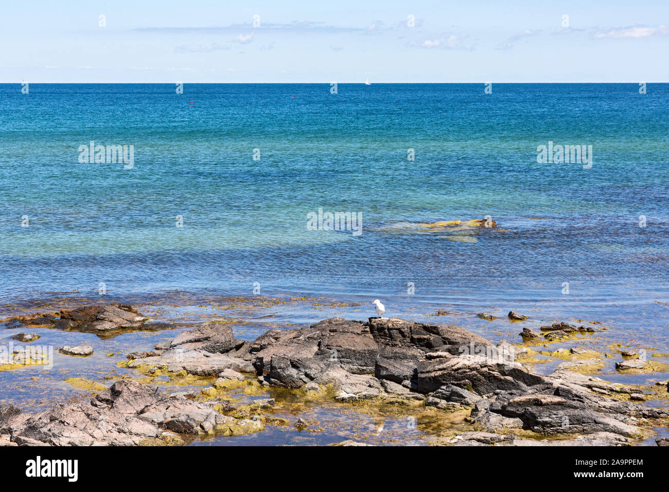 Plage de bornholm sandvig Banque de photographies et d’images à haute ...