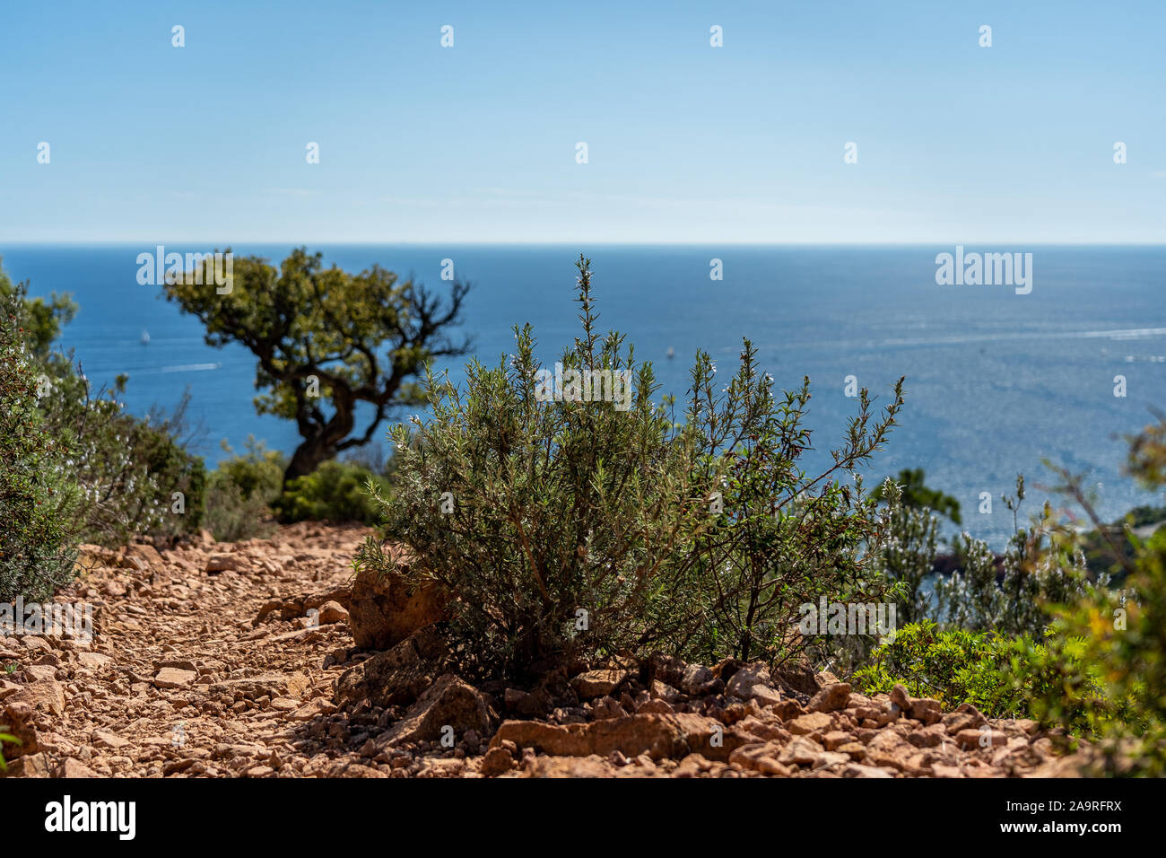 Cap roux sentier de randonnée dans les roches rouges de l'Estérel avec ...