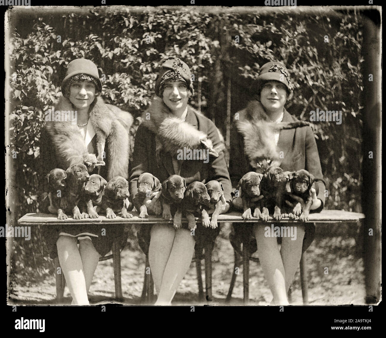 Flapper girls Banque de photographies et d’images à haute résolution ...