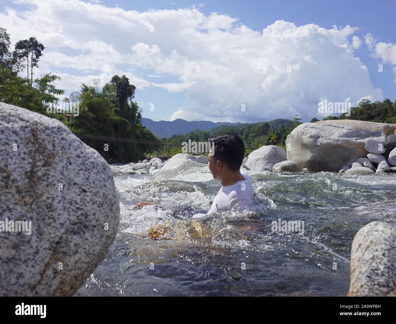 Paysages et foresterie Banque de photographies et d’images à haute ...