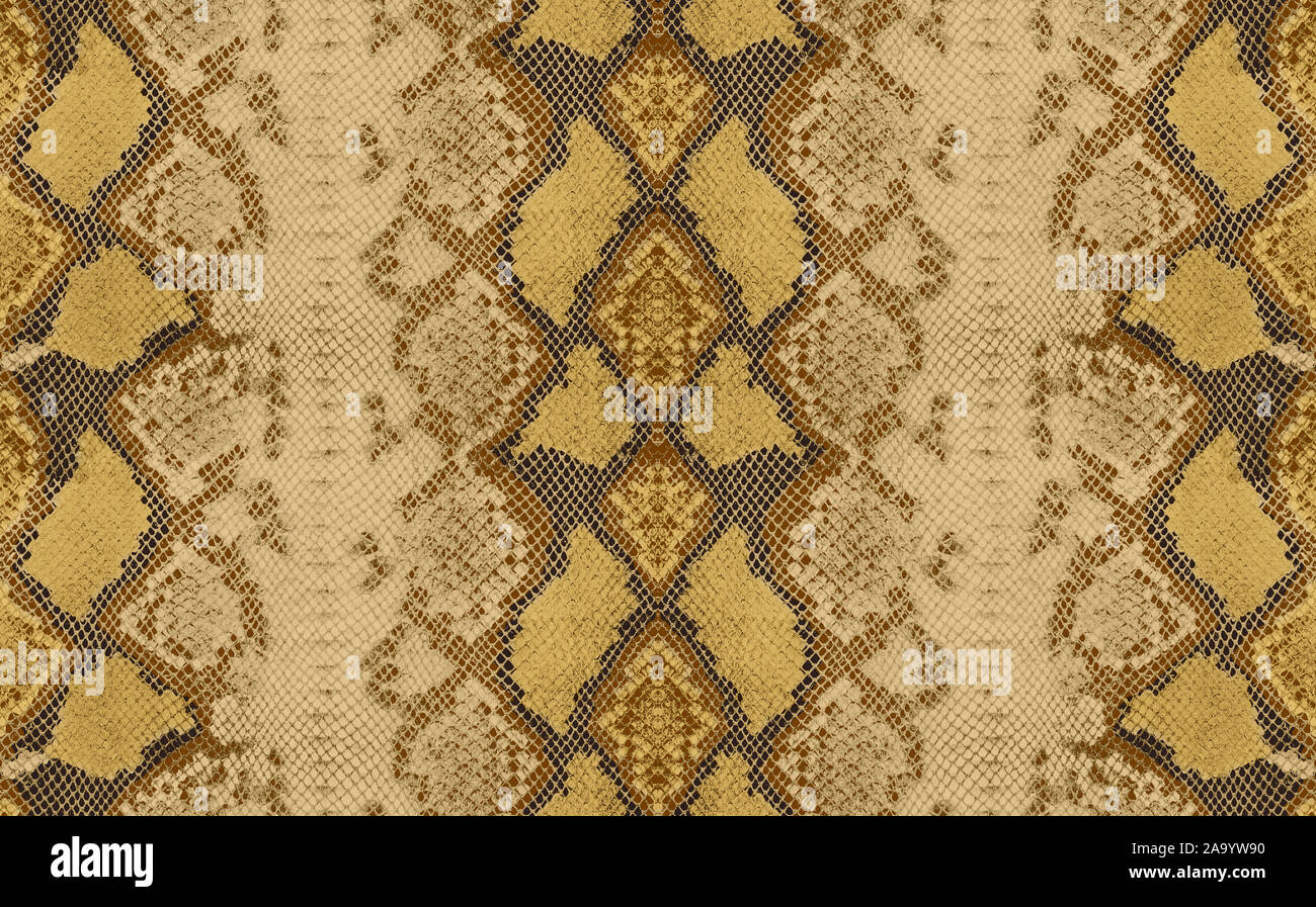 Peau de serpent Python, pattern design pattern, piton, texture de la ...