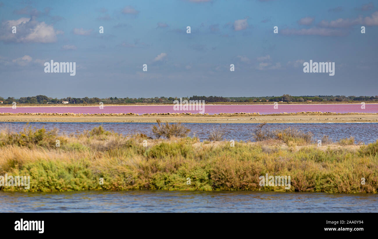 Flamands roses camargue Banque de photographies et d’images à haute ...