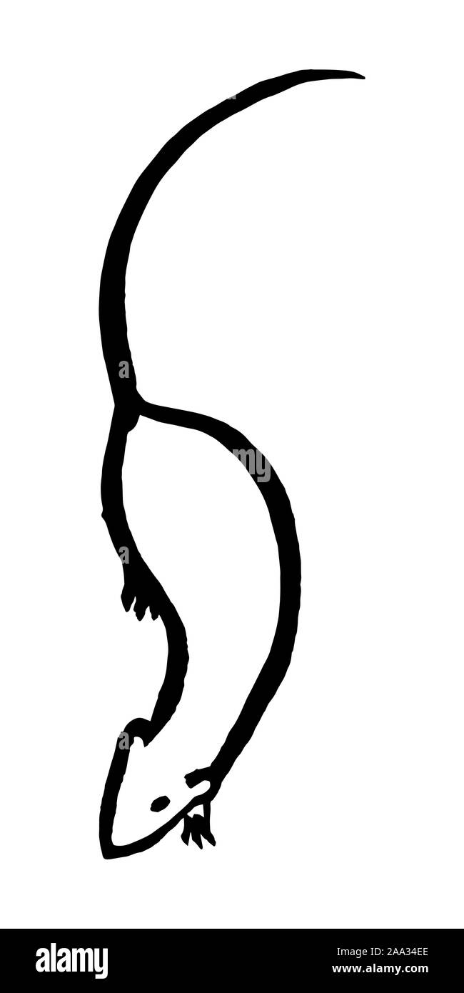 Symbole du rat Banque d'images noir et blanc - Page 2 - Alamy