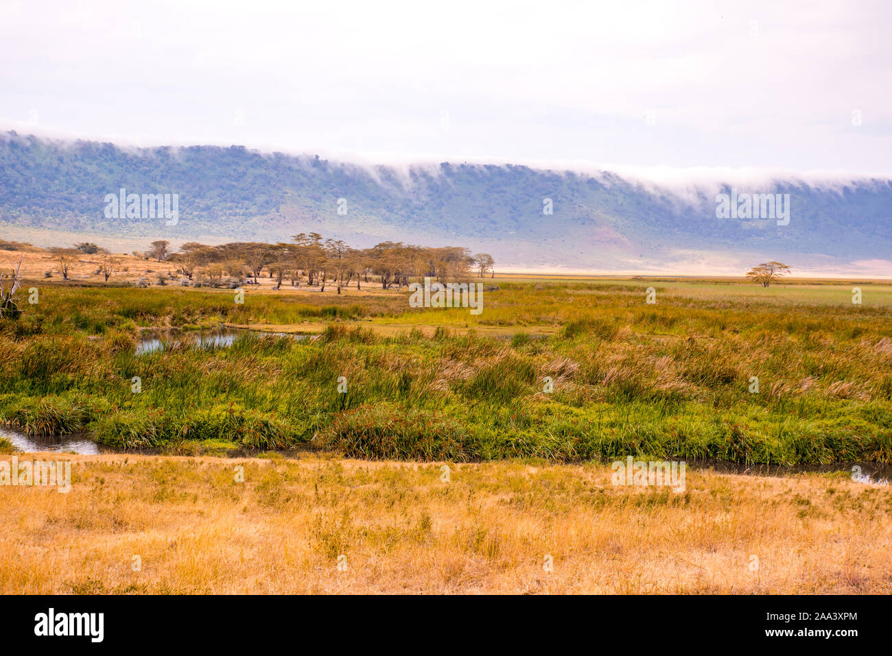Panorama du cratère du Ngorongoro Parc national avec le lac Magadi ...
