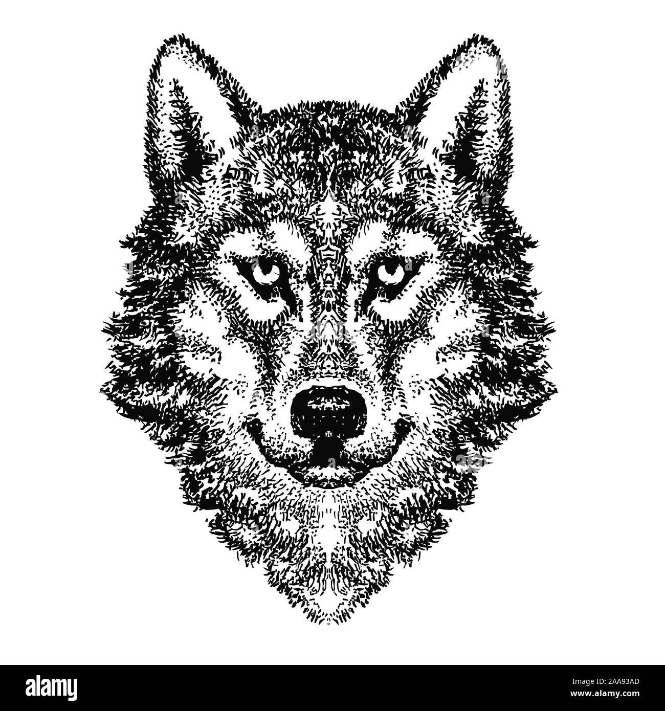 Tête de loup logo vector (26 Photo Stock - Alamy
