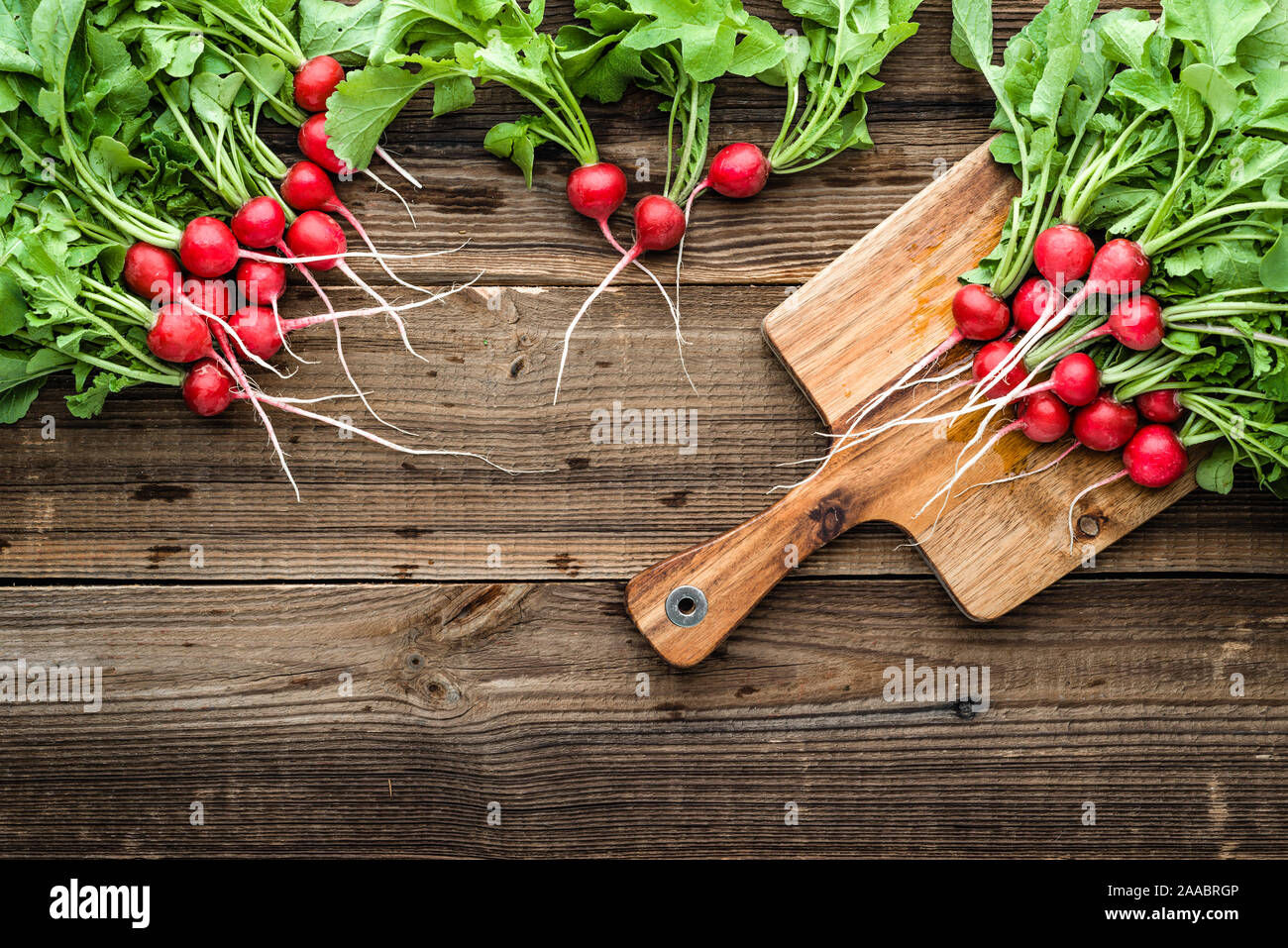Les légumes frais de la ferme. Les radis fraîchement récolté, rouge ...