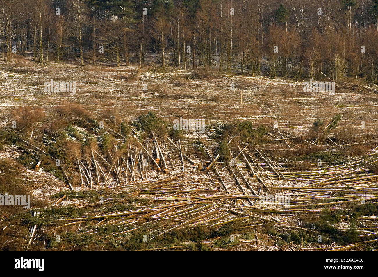 Deforestation uk Banque de photographies et d’images à haute résolution ...