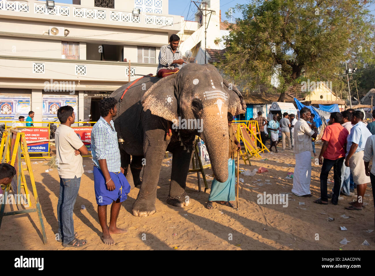 Puthur kulumai amman kutti kudi festival de tiruvizha Banque de ...
