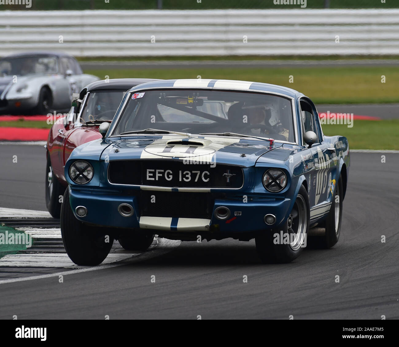 1966 mustang gt Banque de photographies et d’images à haute résolution ...