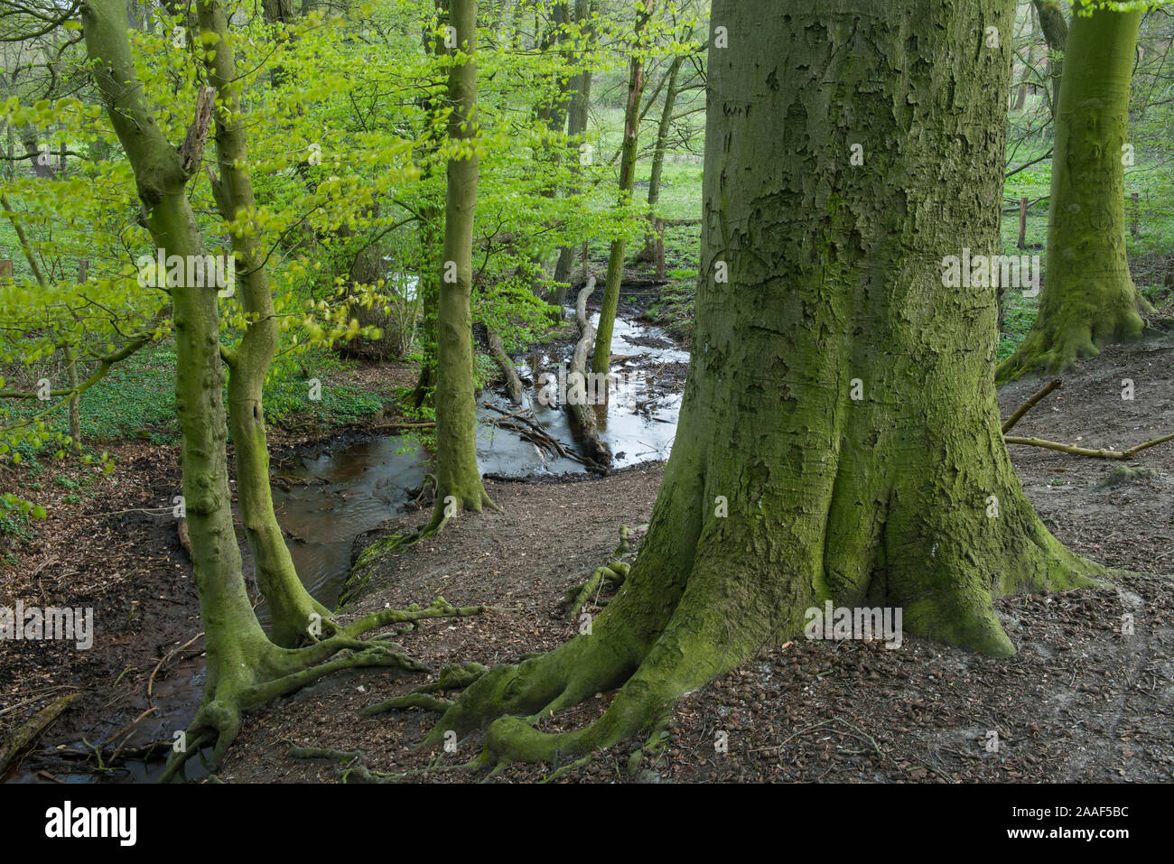 Dammer berge Banque de photographies et d’images à haute résolution - Alamy