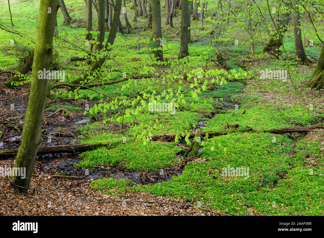 Dammer berge Banque de photographies et d’images à haute résolution - Alamy